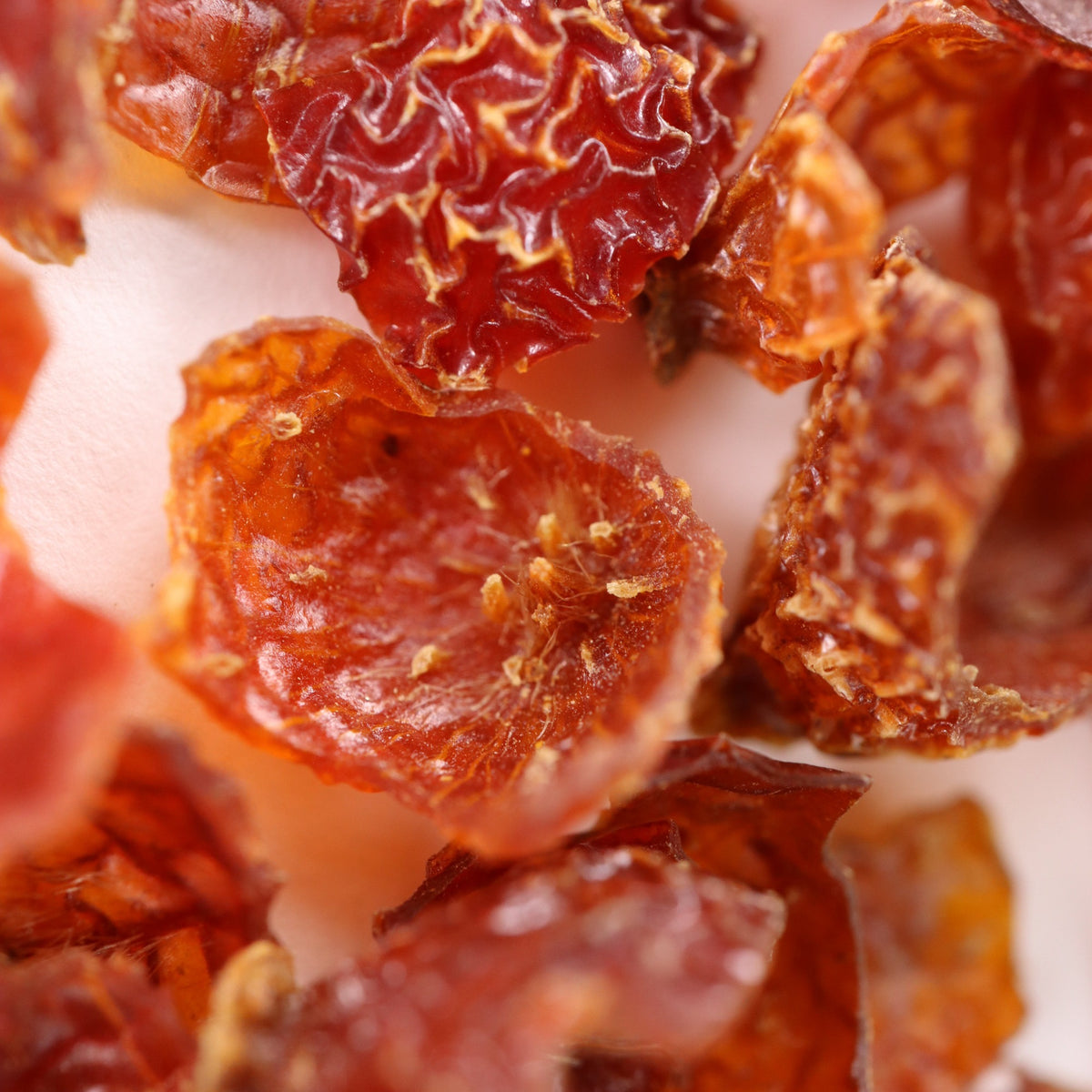 Rose Hip – Goldfish Tea