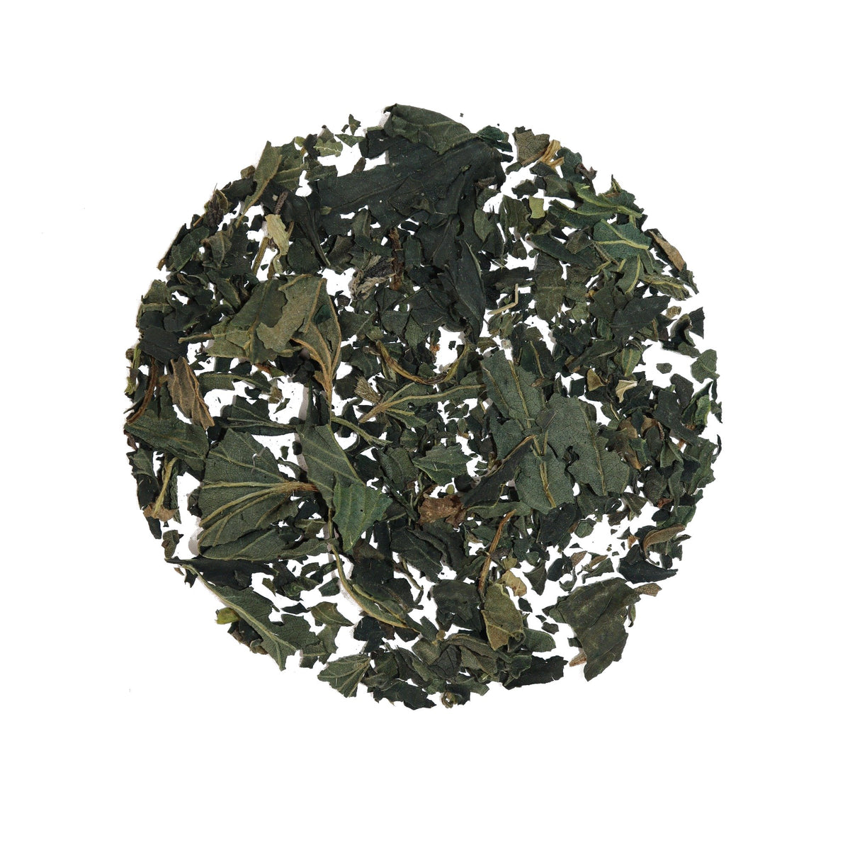 Nettle Leaf – Goldfish Tea