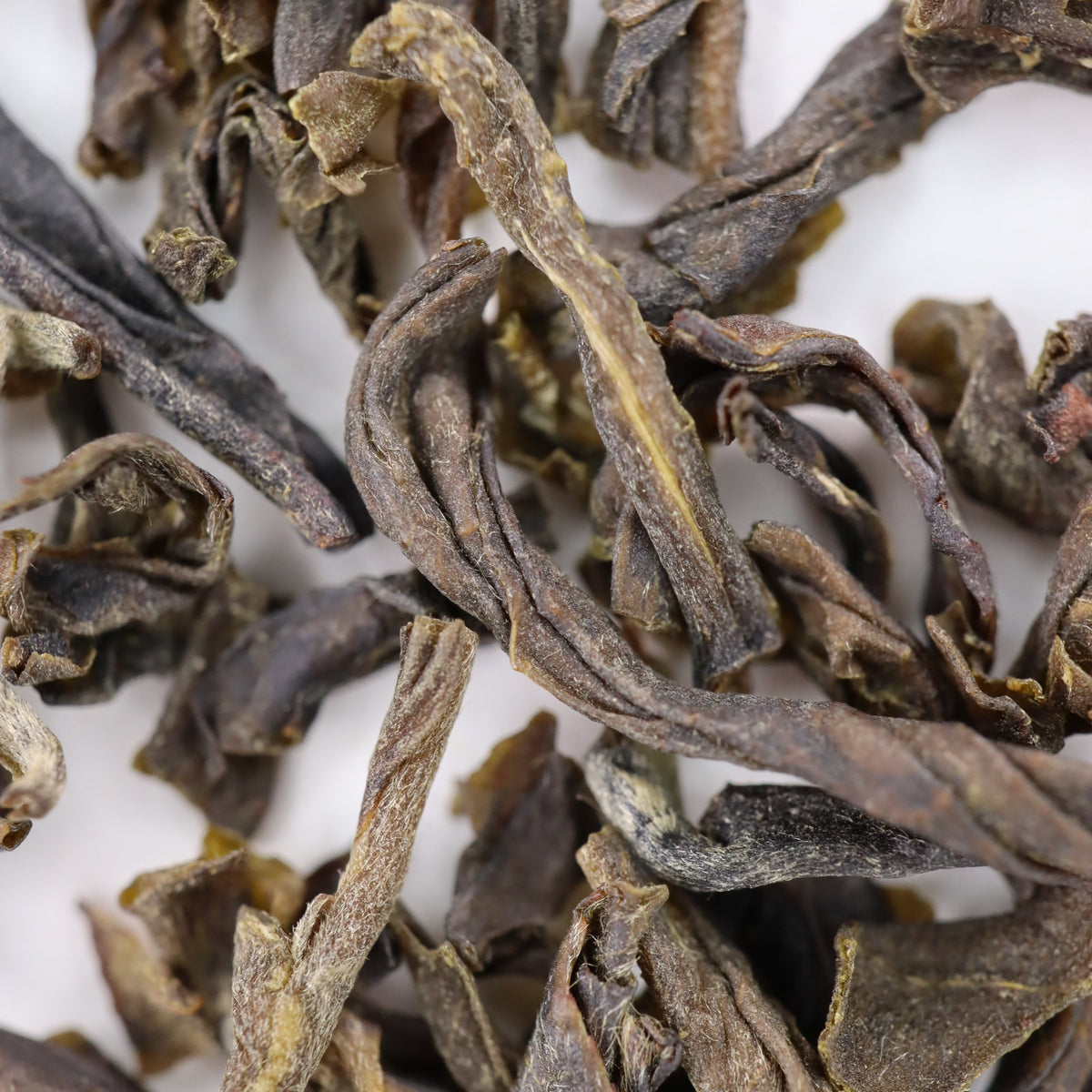 Summer Jasmine, Organic – Goldfish Tea