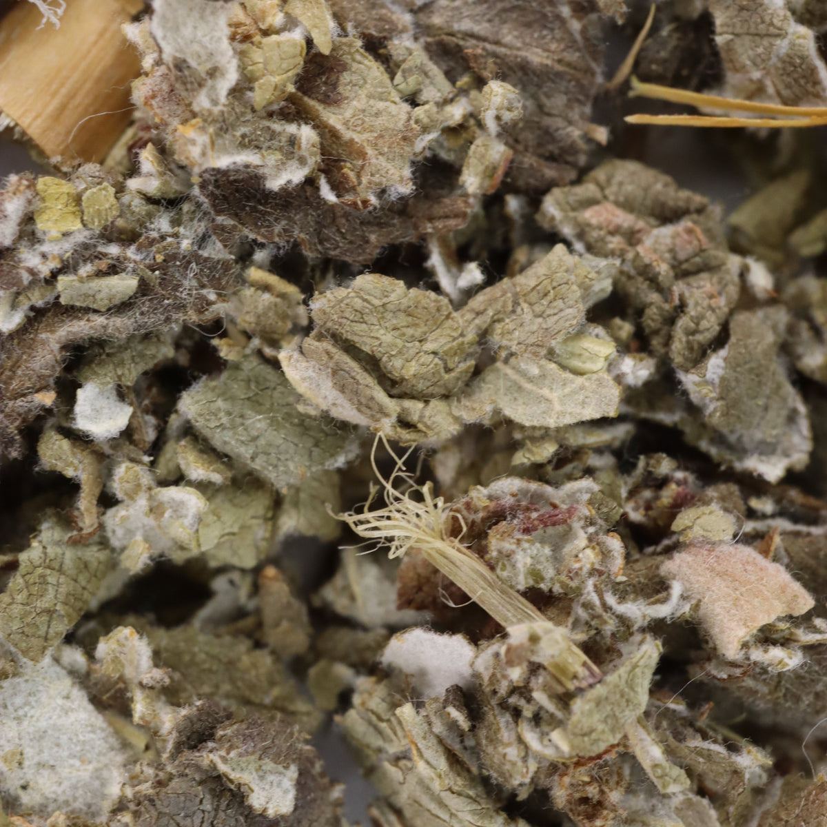 Raspberry Leaf – Goldfish Tea