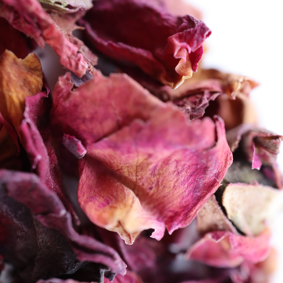 Rose Petal – Goldfish Tea